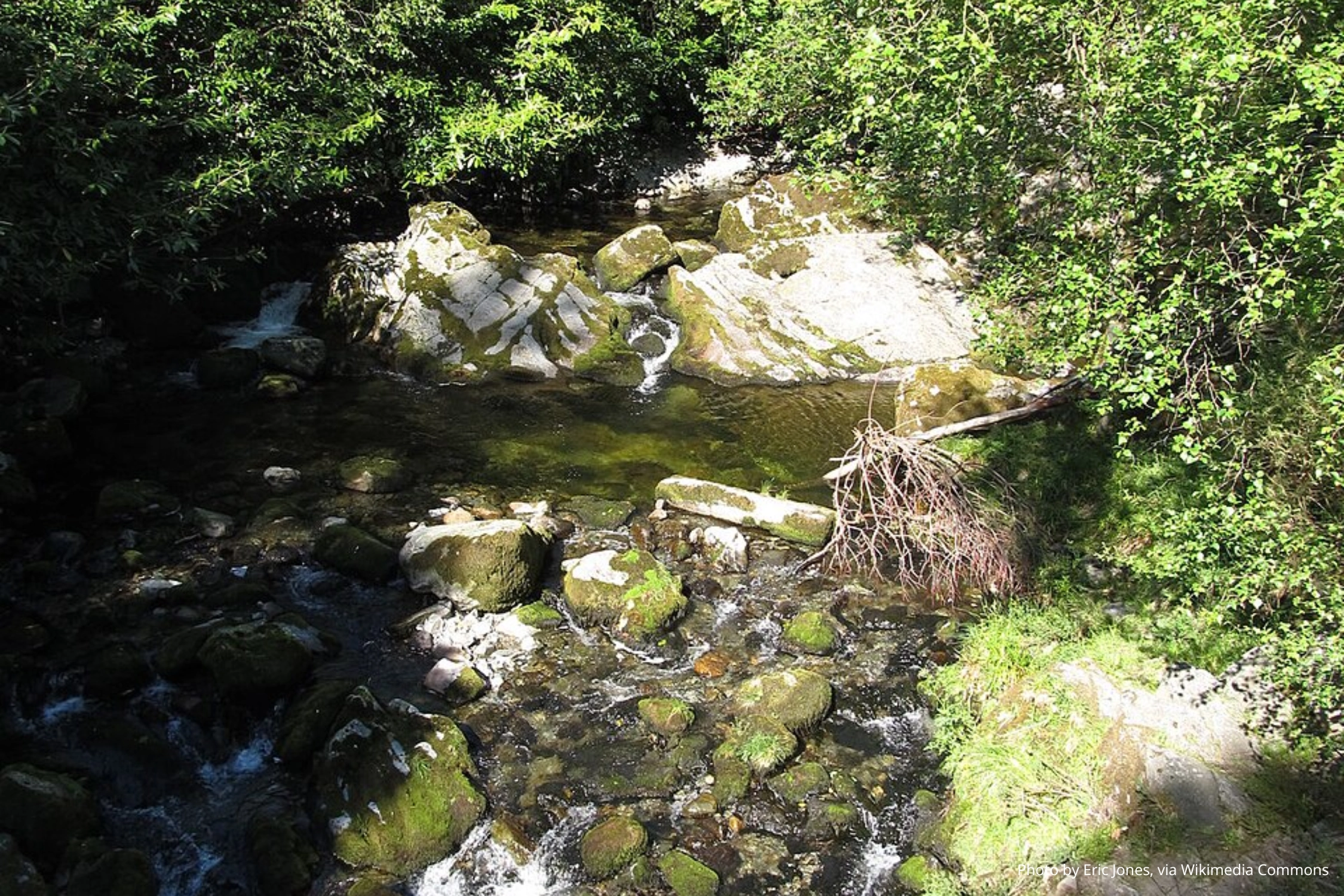 Cима Потхоулз | Frigate Japan - ворота в Японию